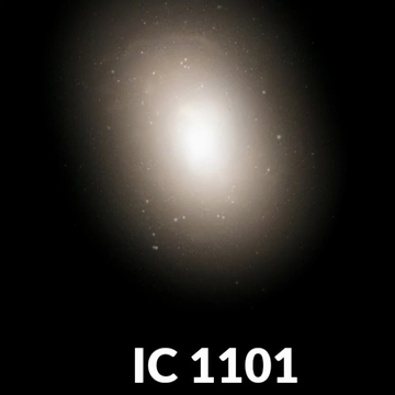 IC 1101-快懂百科