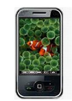 CECT P168-快懂百科