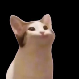 popocat到底是什么意思 - 抖音